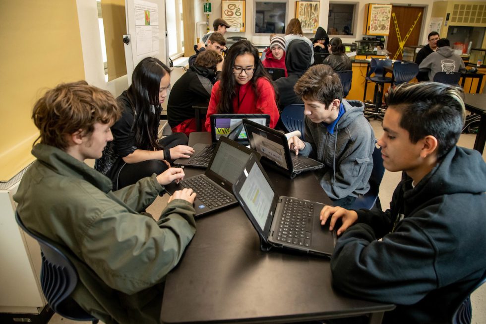 Curriculum | Sustainability